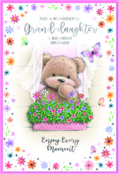 Grandaughter Cute C50 Card SE32062 - Ranges - Everyday Cards